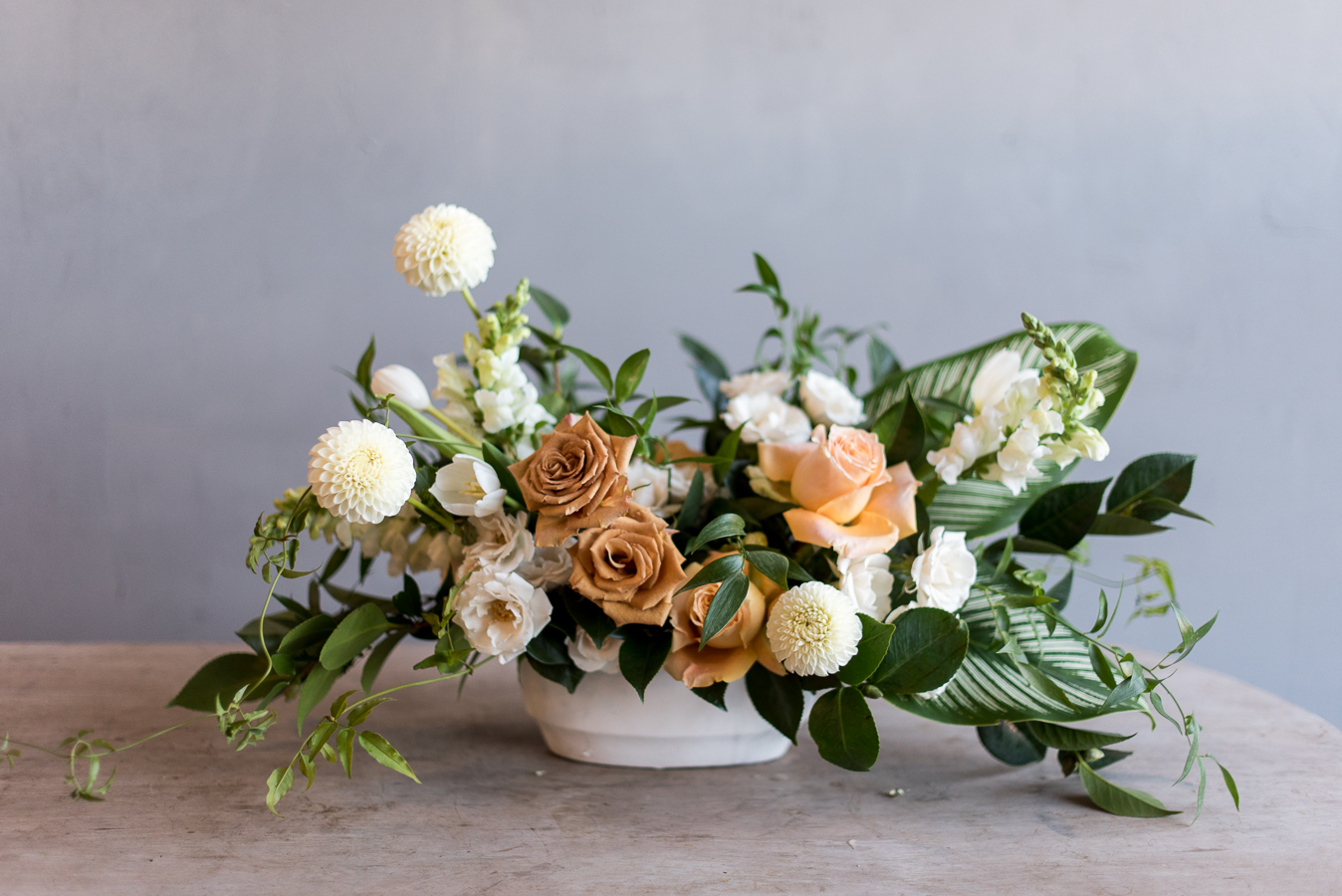 2020 Spring Flower Internship - Sweet Root Village Blog